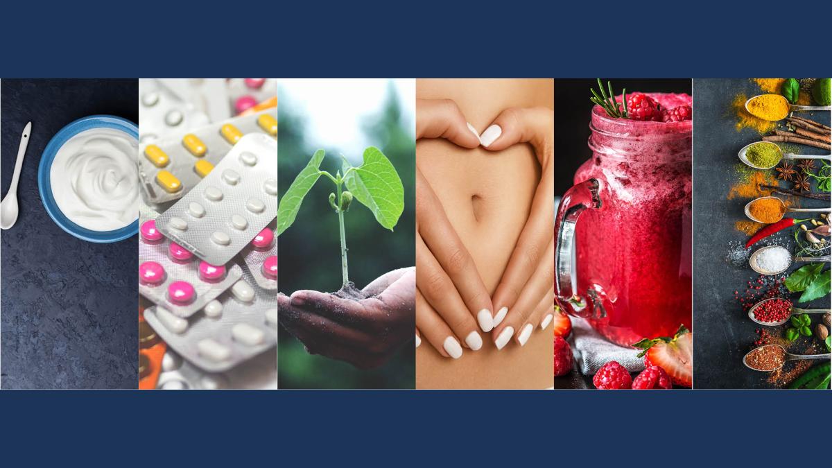 2019 Microbiome Consumer Nutrition Congress